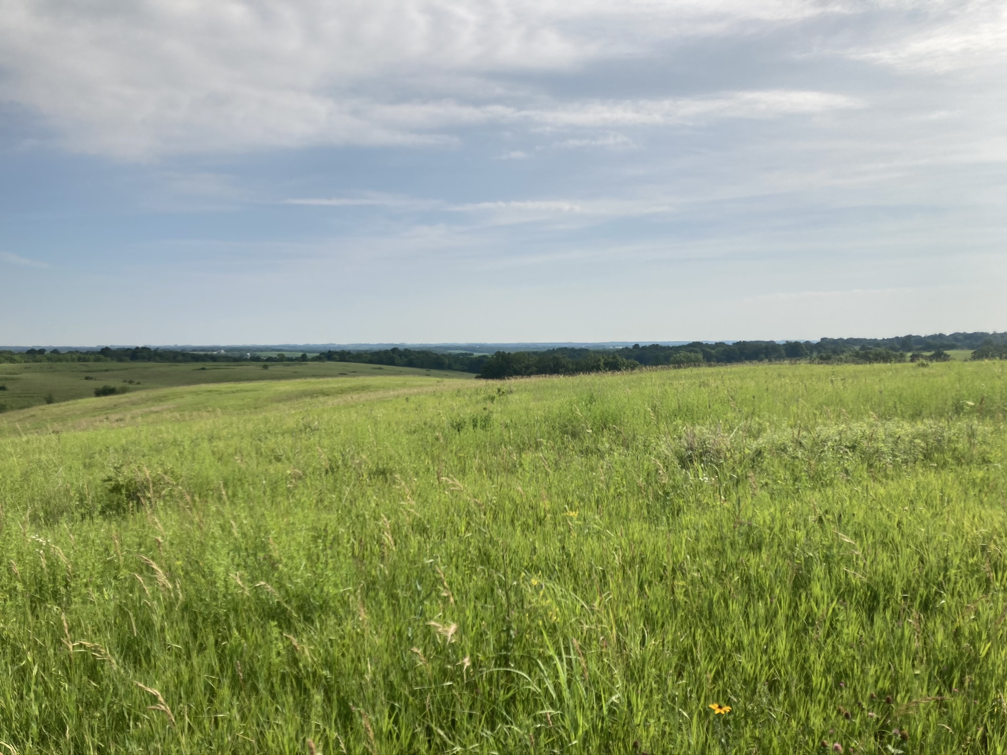 Green Pastures Living Inc – Psalm 23