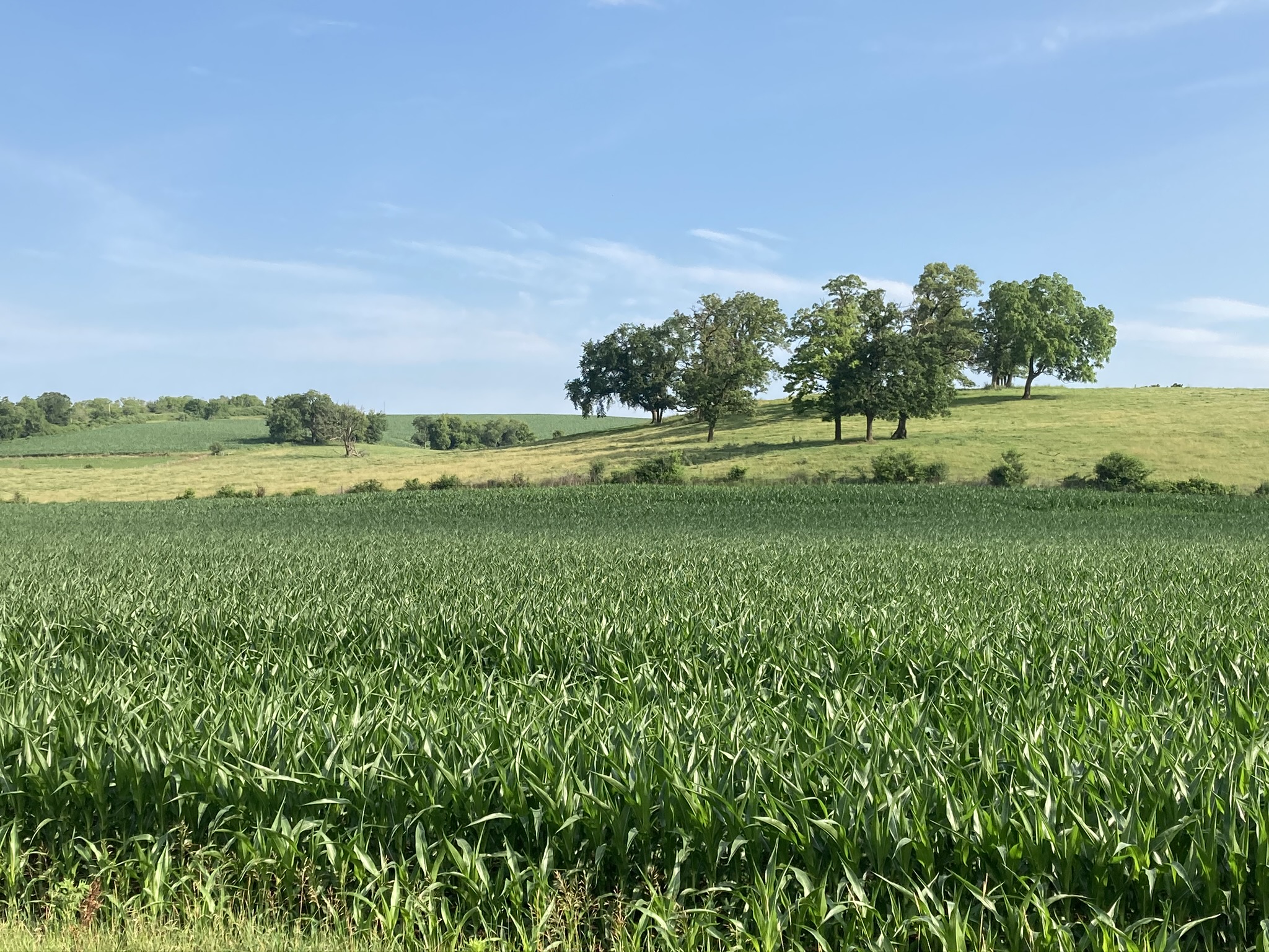 Green Pastures Living Inc – Psalm 23